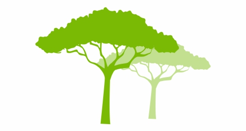 icon_forestlg – Forest Use • Energy • Livelihoods